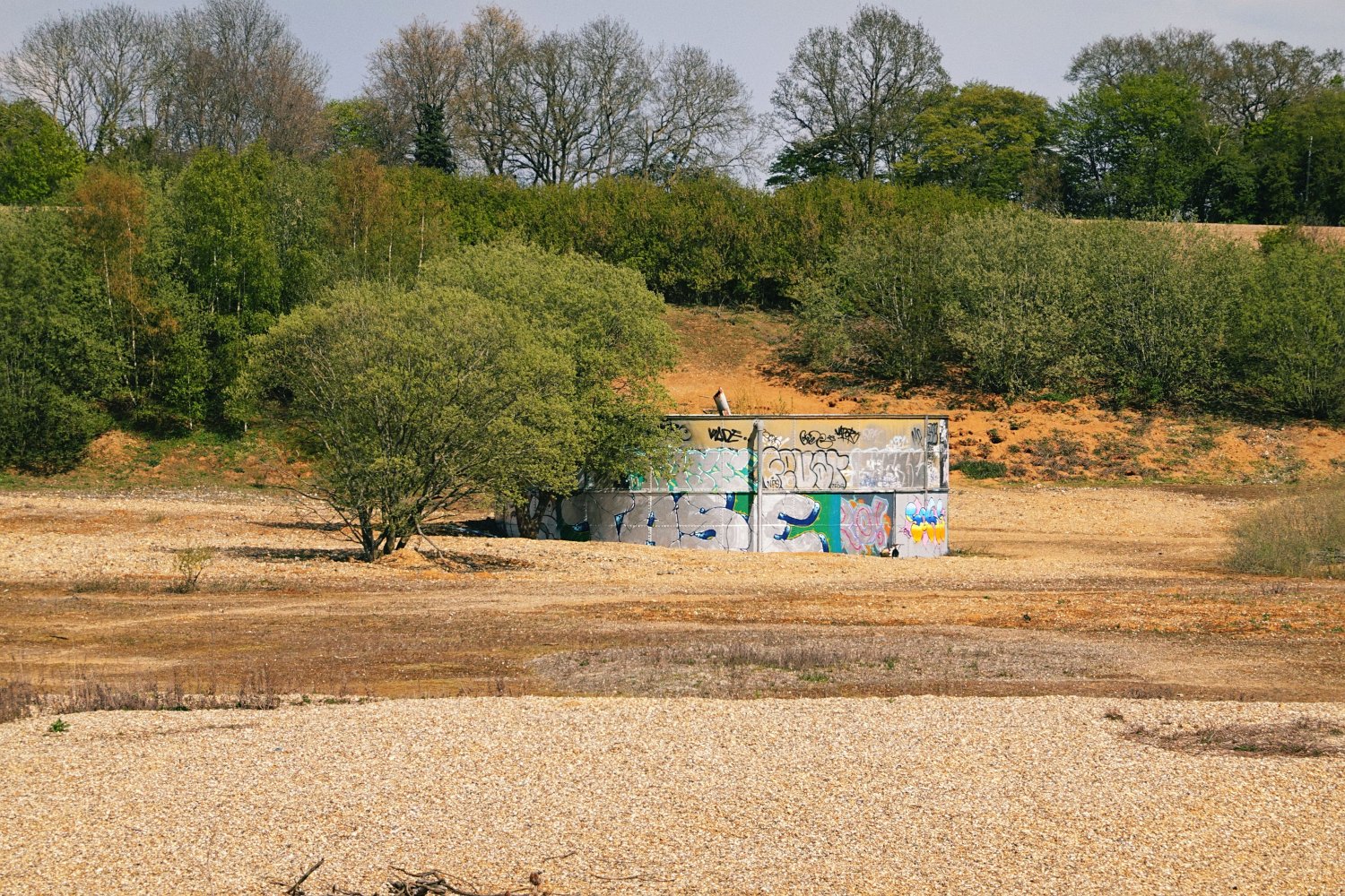 Rickneys | Discover Hertford Online | Galleries